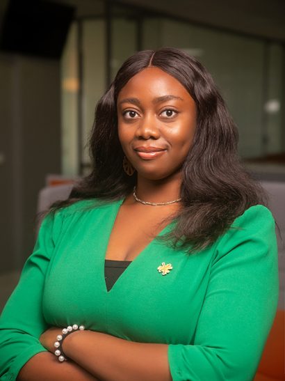 Nigeria Data Protection Act: What Individuals, Businesses And ...